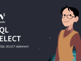 Sql Select Statement