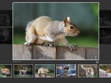 Create Javascript Image Gallery Javascript Training In Delhi