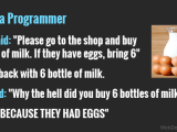 Joke Being A Programmer