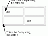 Cellpadding Vs Cellspacing In Html Tables Key Differences Explained