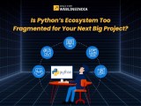 Python Development Fragmented Ecosystem Or Scalable Potential