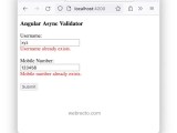Angular Async Validator In Template Driven Form