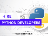 Hire Python Developers India Python Web Experts For Hire