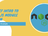 A Brief Intro To Node Js Module System With Code Example Webtechriser