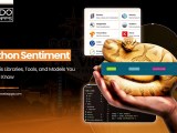 Python Sentiment Analysis Libraries Tools Models 2025