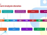 Python Sentiment Analysis Libraries Tools Models 2025