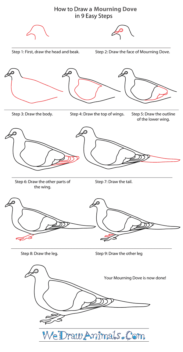 Best 10 Step By Step Drawing Dove for women