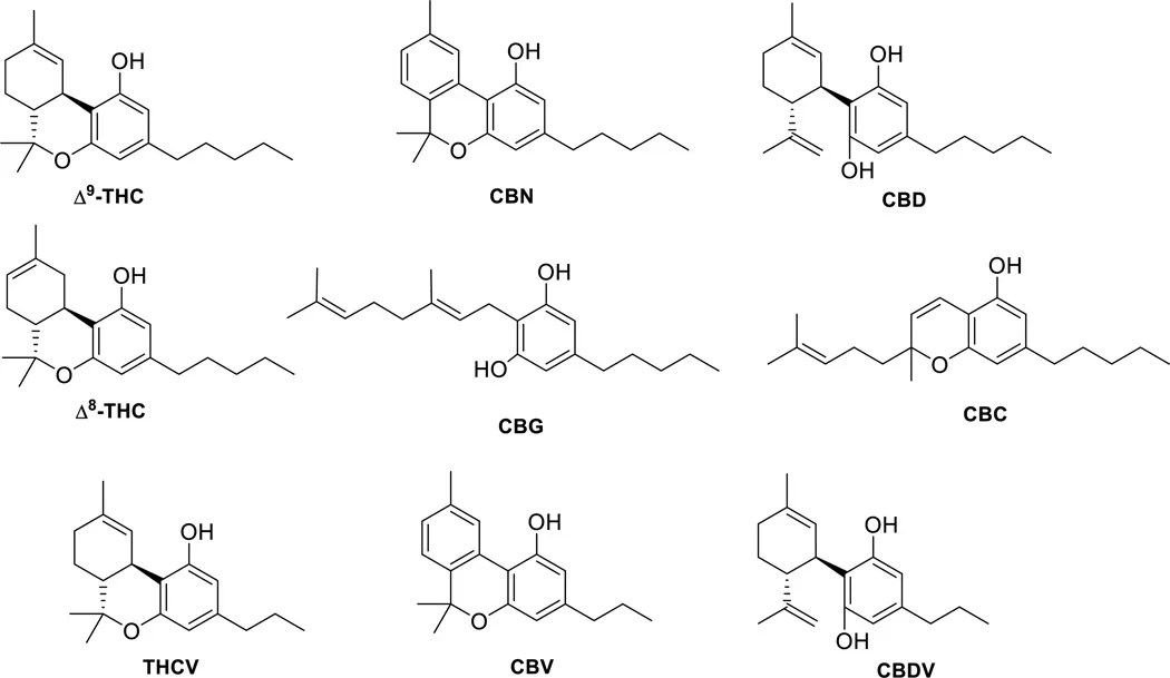 Cannabinoids: The What and Why of Cannabis Compounds | WeedSociety