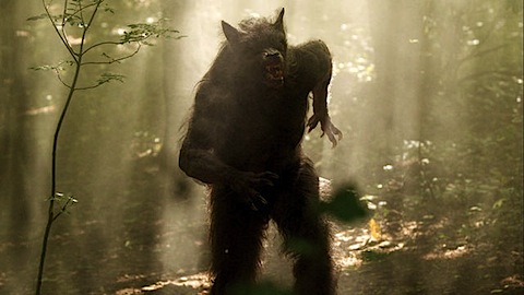 BBC3’s Being Human Adds Two New Werewolves to the Cast | Werewolves