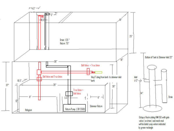 Aquarium Planning | akilgordonbeckford