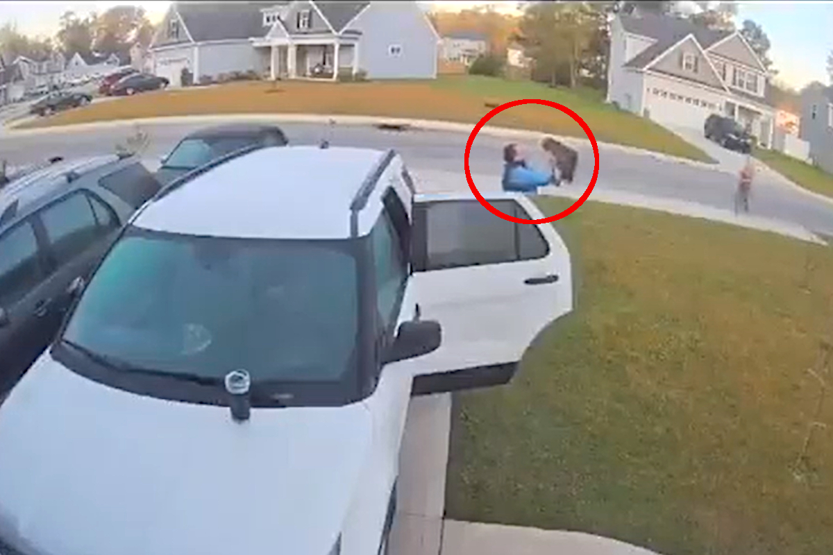 Man Pulls Angry Rabid Bobcat Off His Wife And Chucks It Across His