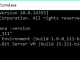 Command To Check Java Version