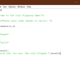 How To Write A Coin Flipping Program On Python With Pictures