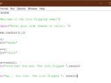 How To Write A Coin Flipping Program On Python With Pictures