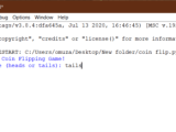 How To Write A Coin Flipping Program On Python With Pictures