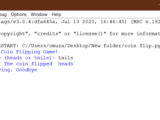 How To Write A Coin Flipping Program On Python With Pictures