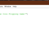 How To Write A Coin Flipping Program On Python With Pictures