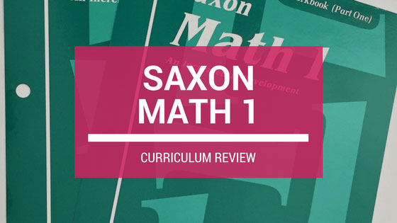 REVIEW: Saxon Math Grade 1 Curriculum - Wildly Anchored // Faith ...