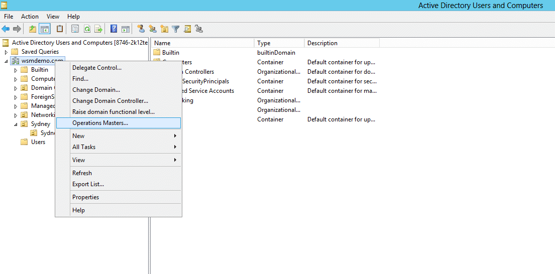 Active Directory FSMO Roles Explained (2023)