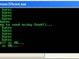 A Step By Step The Net Program And Project Example Using C Net For