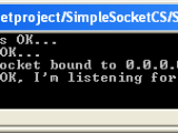 The C Net Simple Client And Server Socket Winsock Windows Socket