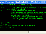 The C Net Simple Client And Server Socket Winsock Windows Socket