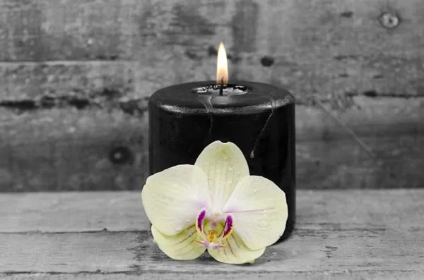 Spell To Send Someone Away Wishbonix spell-to-send-someone-away-wishbonix