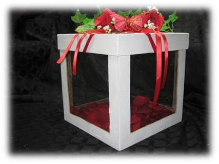 Butterfly Release Boxes - Wish Upon A Butterfly