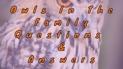 Owls In The Family Questions & Answers | WittyChimp