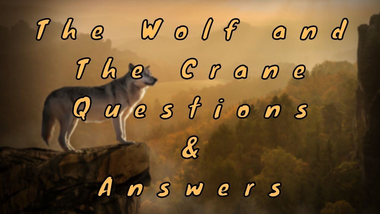 Someone Poem Questions Answers WittyChimp someone-poem-questions-answers-wittychimp