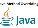 Java Method Overriding Learn Java Programming