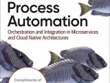 Practical Process Automation Wow Ebook