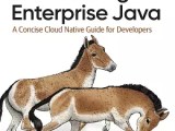 Modernizing Enterprise Java Wow Ebook