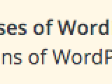 Best Practices To Manage Wordpress Plugin Conflicts