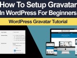 How To Setup Gravatar In Wordpress For Beginners Step By Step Tutorial