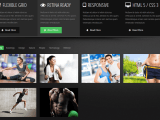 Evolution Fitness Theme For Wordpress Wp Solver