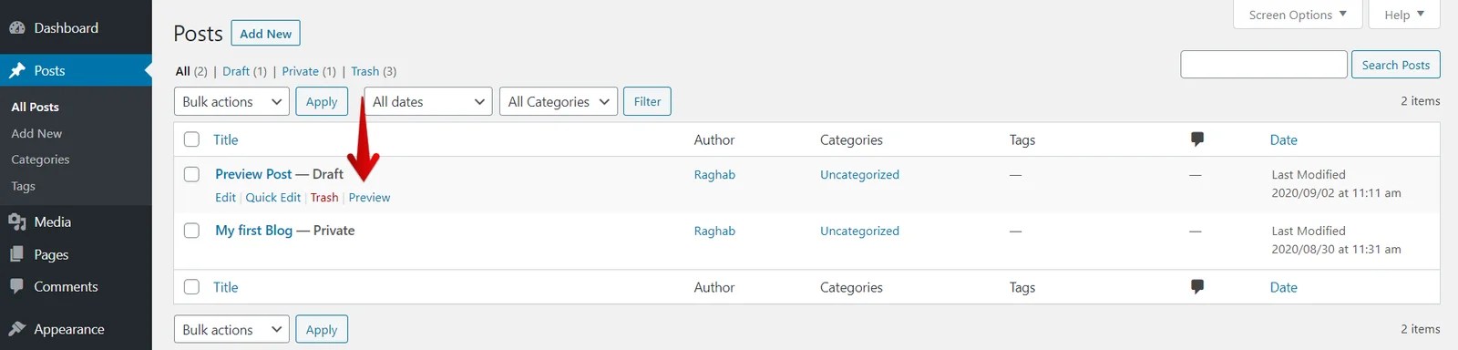 How to Preview Posts in WordPress? Easy Steps - WPTiro