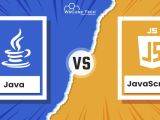 All Differences Between Java Vs Javascript Easy Comparison