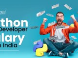 Python Developer Salary In India 2023 Freshers Experienced