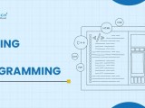 Coding Vs Programming Difference Comparison
