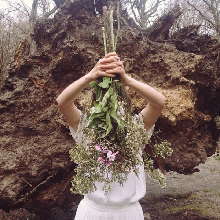 Ode to Elder –Respect your Elders – Wyld