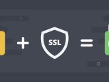 Ssl Handshake Explained If You Have Ever Browsed An Https Url By