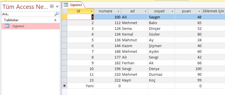 ASP.NET Access Veritabanı Bağlantısı (Select – Insert – Update -Delete) – Web Tasarım & Programlama