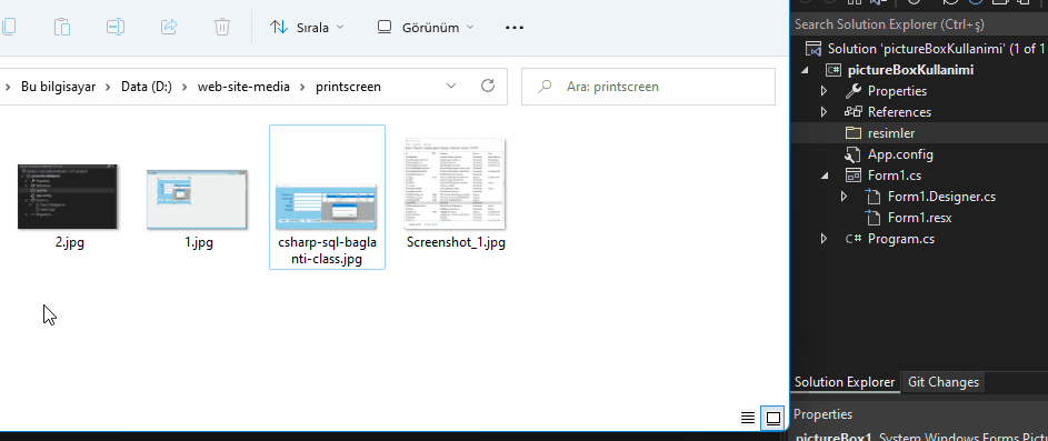 C# PictureBox Kullanımı – Web Tasarım & Programlama