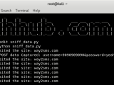 Python Packet Sniffer Dsgai