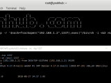 Getting Reverse Shell With Php Python Perl And Bash Yeah Hub