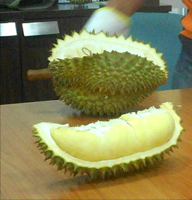 How to Open A Durian - Year of the Durian