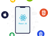 Reactjs Development Company Zobi Web Solutions