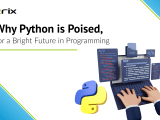 Why Python Is Poised For A Bright Future In Programming