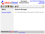 Module Manager